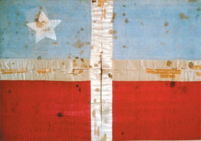 Grito de Lares Flag, History & Legacy | Study.com