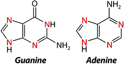 Aromatic Hydrocarbons | Definition, List & Examples - Lesson | Study.com