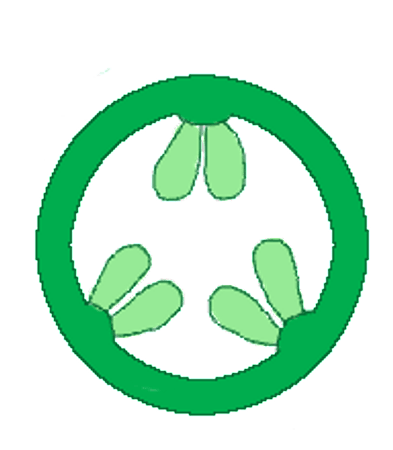 Placentation in Flowers | Definition, Process & Types - Lesson | Study.com