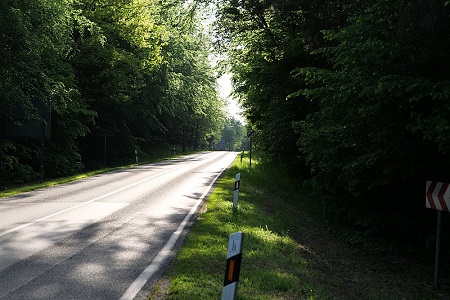 Dispersal in Ecology | Definition, Mechanisms & Example - Lesson ...