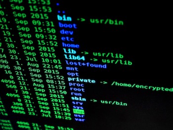 How Information is Hidden in Digital Crime: Techniques & Examples ...