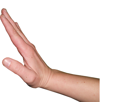 Extensor Carpi Ulnaris | Insertion & Innervation | Study.com