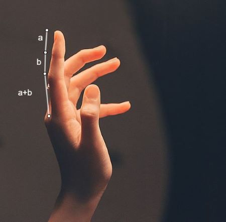 Golden Mean Definition, Uses & Examples | Study.com