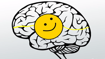 Plutchik's Wheel of Emotions | Overview & Variations - Lesson | Study.com