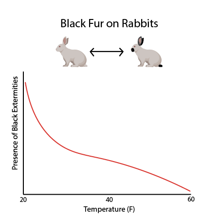 Evaluating the Effects of Ecological Factors on Traits in Ecosystems ...