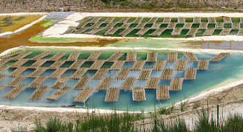 Bioremediation Definition, Types & Examples | Study.com