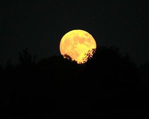 Orange Moon | Overview, Wavelengths & Color Shifts - Lesson | Study.com