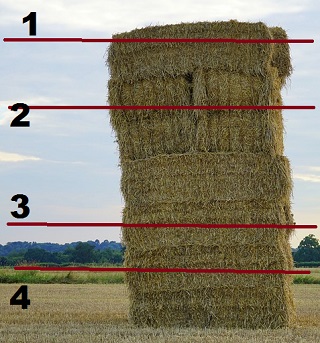 Estimating with Benchmarks: Quiz & Worksheet for Kids | Study.com