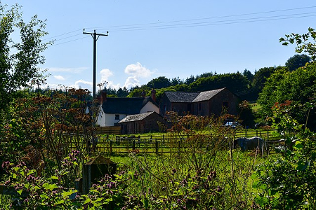 Sir Walter Raleigh | Biography, Discovery of Roanoke & Death | Study.com