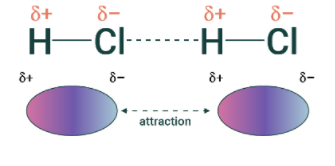 Explain how dipole-dipole forces cause molecules to be attracted to one ...