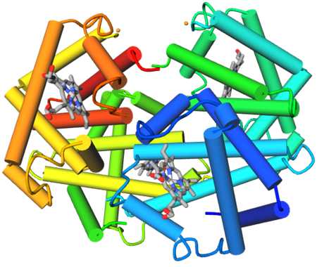 Cofactors vs. Coenzymes | Definition, Differences & Examples - Lesson ...