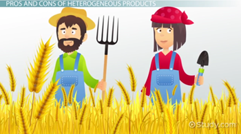 Heterogeneous Product | Overview, Definition & Examples - Lesson ...