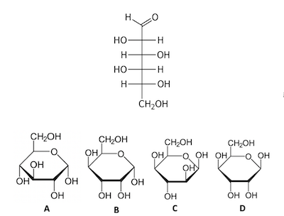 Drawing the Haworth Projection of an Aldose from Its Fischer Projection ...