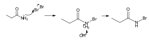 Hofmann & Curtius Rearrangements: Examples & Mechanisms | Study.com