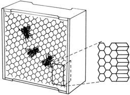 Tessellation Patterns, Shapes & Examples | What is Tessellation ...