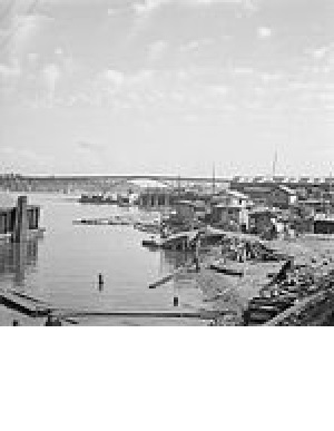 Hoovervilles Lesson for Kids: Definition & History | Study.com