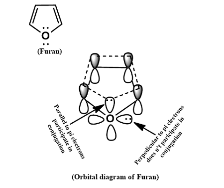 Draw an orbital picture of furan to show how the molecule is aromatic ...