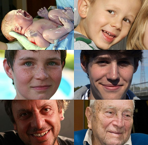 Developmental Perspective | Overview, Theory & Importance - Lesson ...