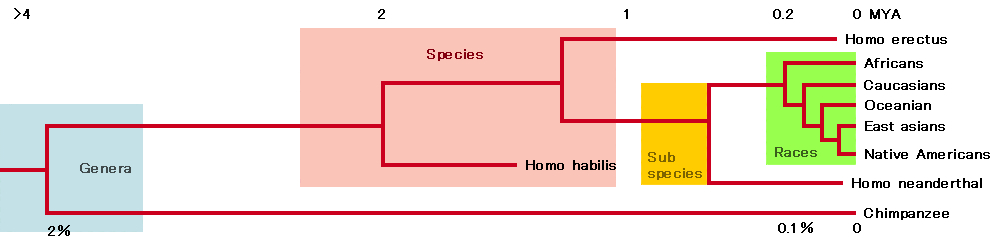 Comparing & Contrasting Fossil Record Data & Modern Organisms as ...