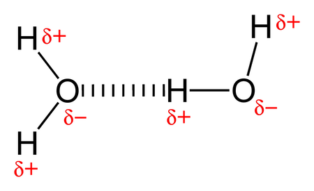 Protein Structure | Function, Shapes & Factors - Lesson | Study.com