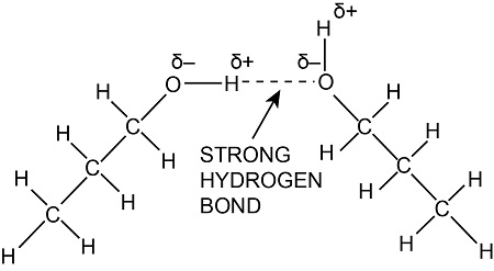 Describe the formation of hydrogen bonds in propanol, CH3CH2CH2OH ...