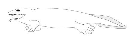 Acclimatization in Biology | Definition, Methods & Examples | Study.com