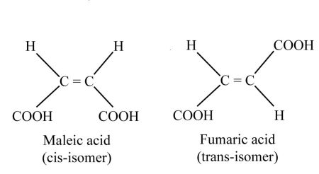 Why does maleic acid have lower melting point than Fumaric? | Study.com