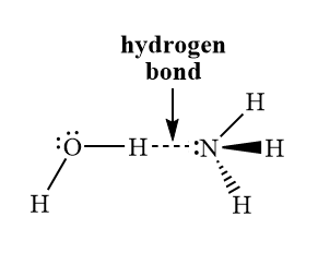 Depict the hydrogen bonding between two ammonia molecules and between ...