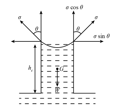 two glass capillary tubes of inside diameters of 20 and 13 microns are ...