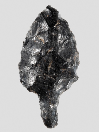 Identifying the Causes & Effects of the Rise of the Fertile Crescent ...