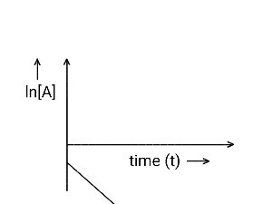 Using the First-order Integrated Rate Law Practice | Chemistry Practice ...