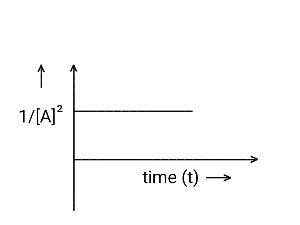 Using the First-order Integrated Rate Law Practice | Chemistry Practice ...