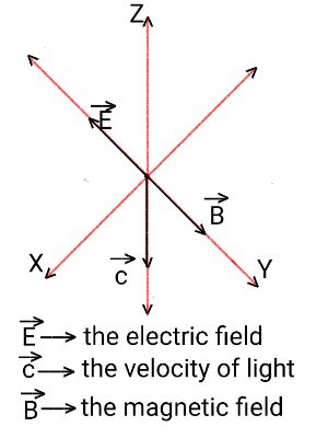 Finding the Direction of an Electric Field Using the Right Hand Rule ...