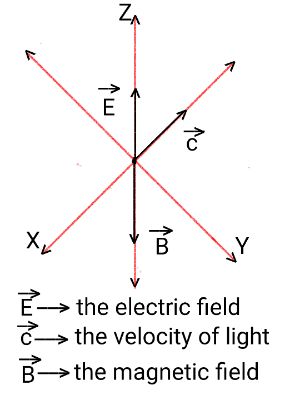Finding the Direction of an Electric Field Using the Right Hand Rule ...