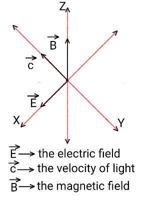 Finding the Direction of an Electric Field Using the Right Hand Rule ...