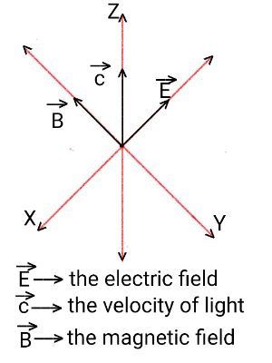 Finding the Direction of an Electric Field Using the Right Hand Rule ...