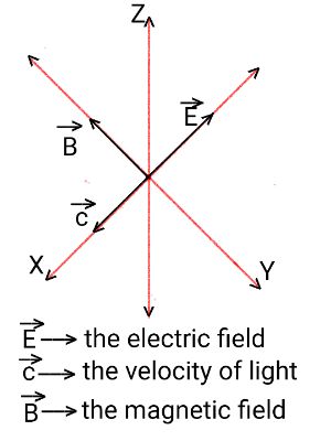 Finding the Direction of an Electric Field Using the Right Hand Rule ...