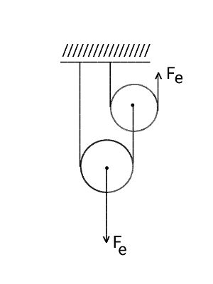 Calculating the Mechanical Advantage of a Pulley Practice | Physics ...