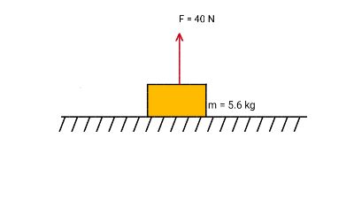 Using Free-Body Diagrams to Calculate Force in Static Situations ...