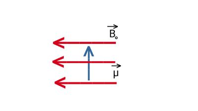 Finding the Direction of a Magnetic Dipole Moment Practice | Physics ...