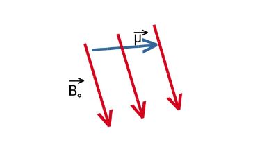 Finding the Direction of a Magnetic Dipole Moment Practice | Physics ...