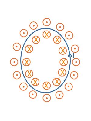 Drawing the Magnetic Field Around a Current-Carrying Wire Practice ...