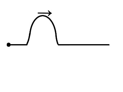Comparing the Reflection of Waves with Fixed and Loose Ends Practice ...