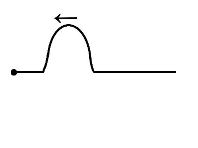 Comparing the Reflection of Waves with Fixed and Loose Ends Practice ...