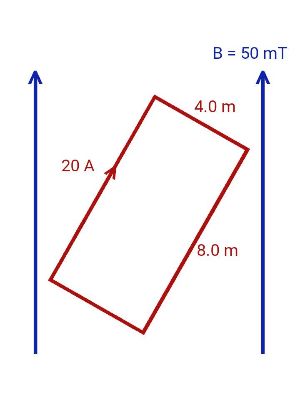 Calculating the Vector-Valued Torque on a Rectangular Loop of Wire in a ...
