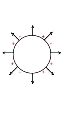 Identifying Sketches of the Electric Field inside and around a ...