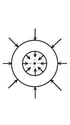 Identifying Sketches of the Electric Field inside and around a ...