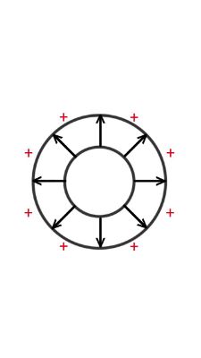 Identifying Sketches of the Electric Field inside and around a ...
