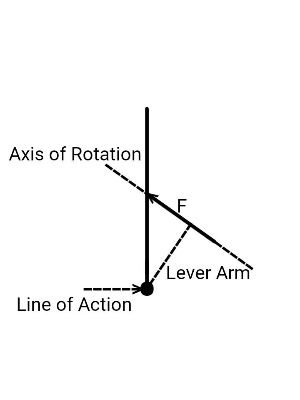 Identifying Sketches of the Lever Arm, Axis of Rotation, & Line of ...