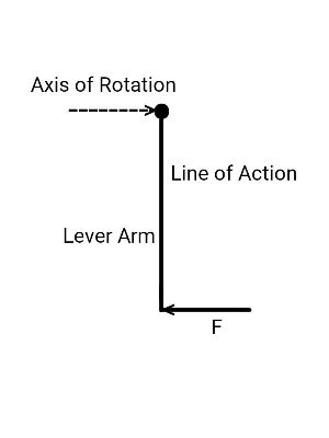Identifying Sketches of the Lever Arm, Axis of Rotation, & Line of ...